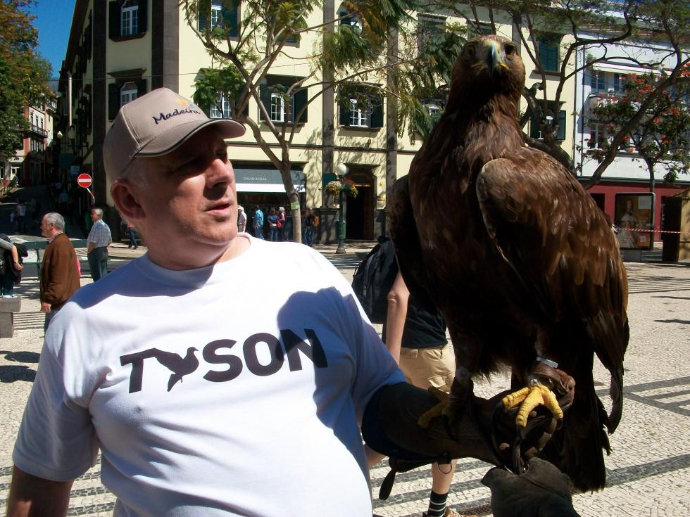Fennec Fox For Sale in Free State | Petzlover