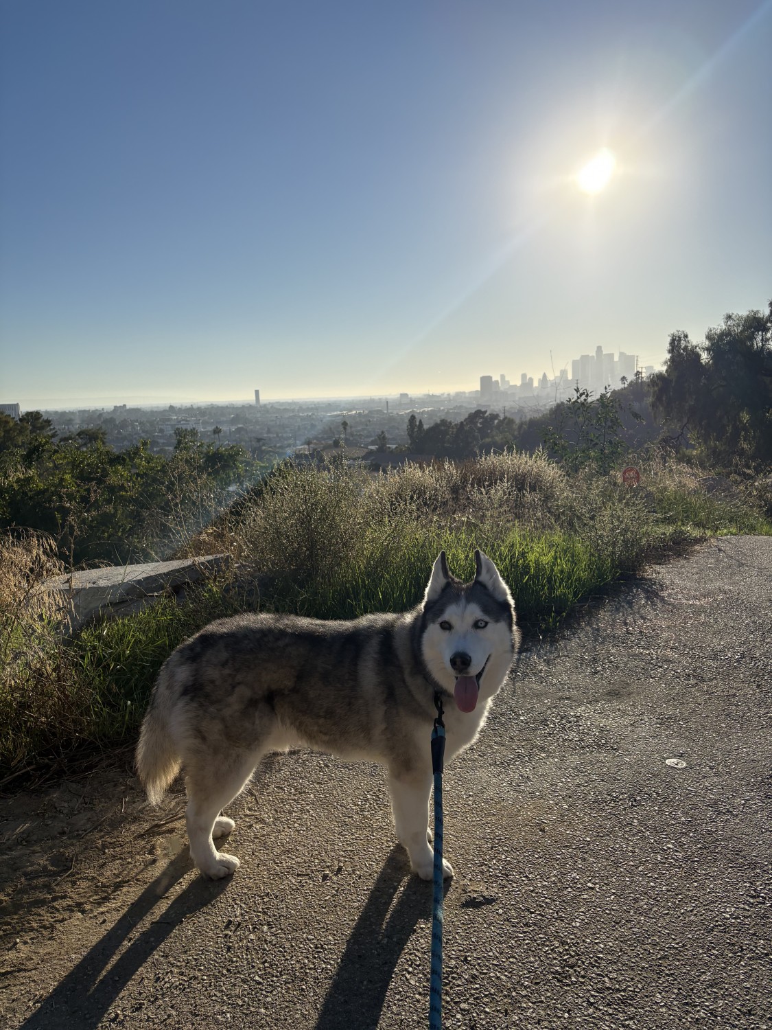 View Julia Sol’s Profile on Petzlover | Connect with Pet Lovers