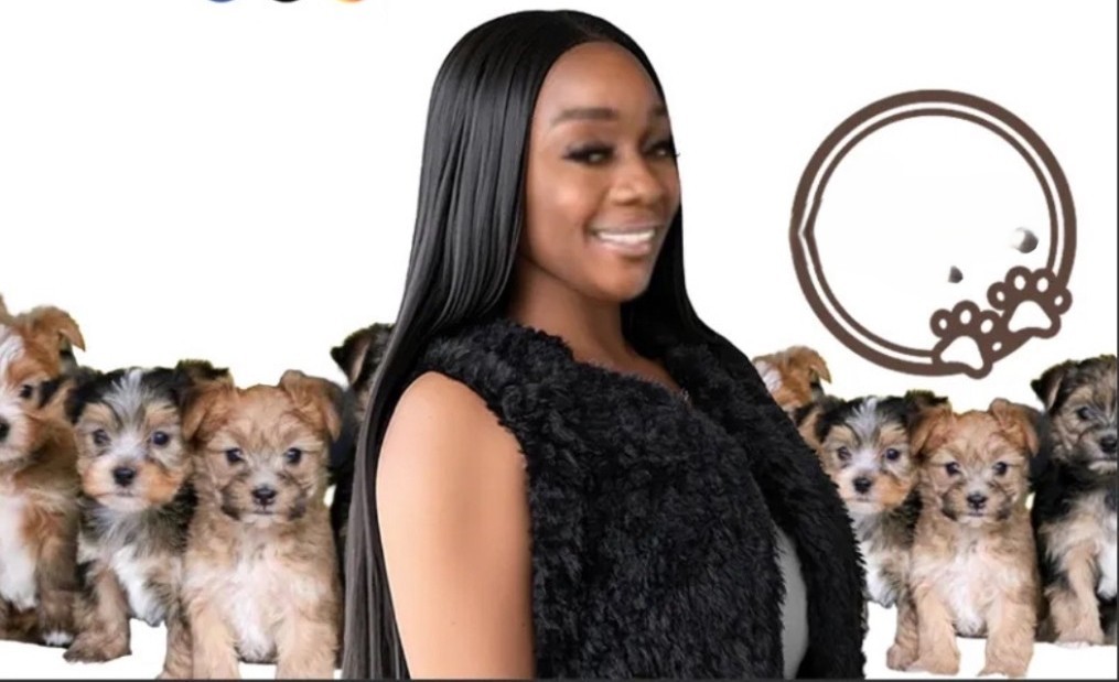 Monique Magic paws LLC Pet Shop's Listings | #258638