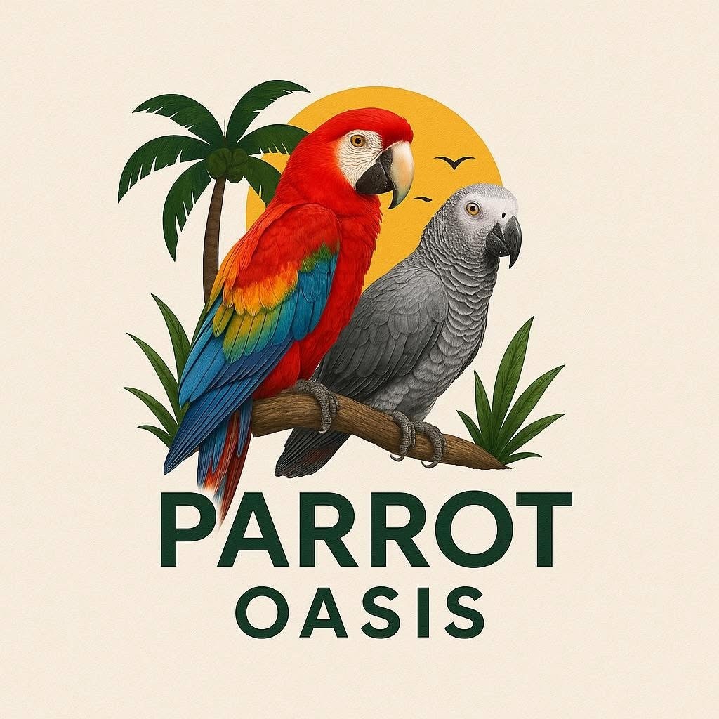 Available Pets for Sale & Adoption | Birds | Parrots oasis | Gunnison ...